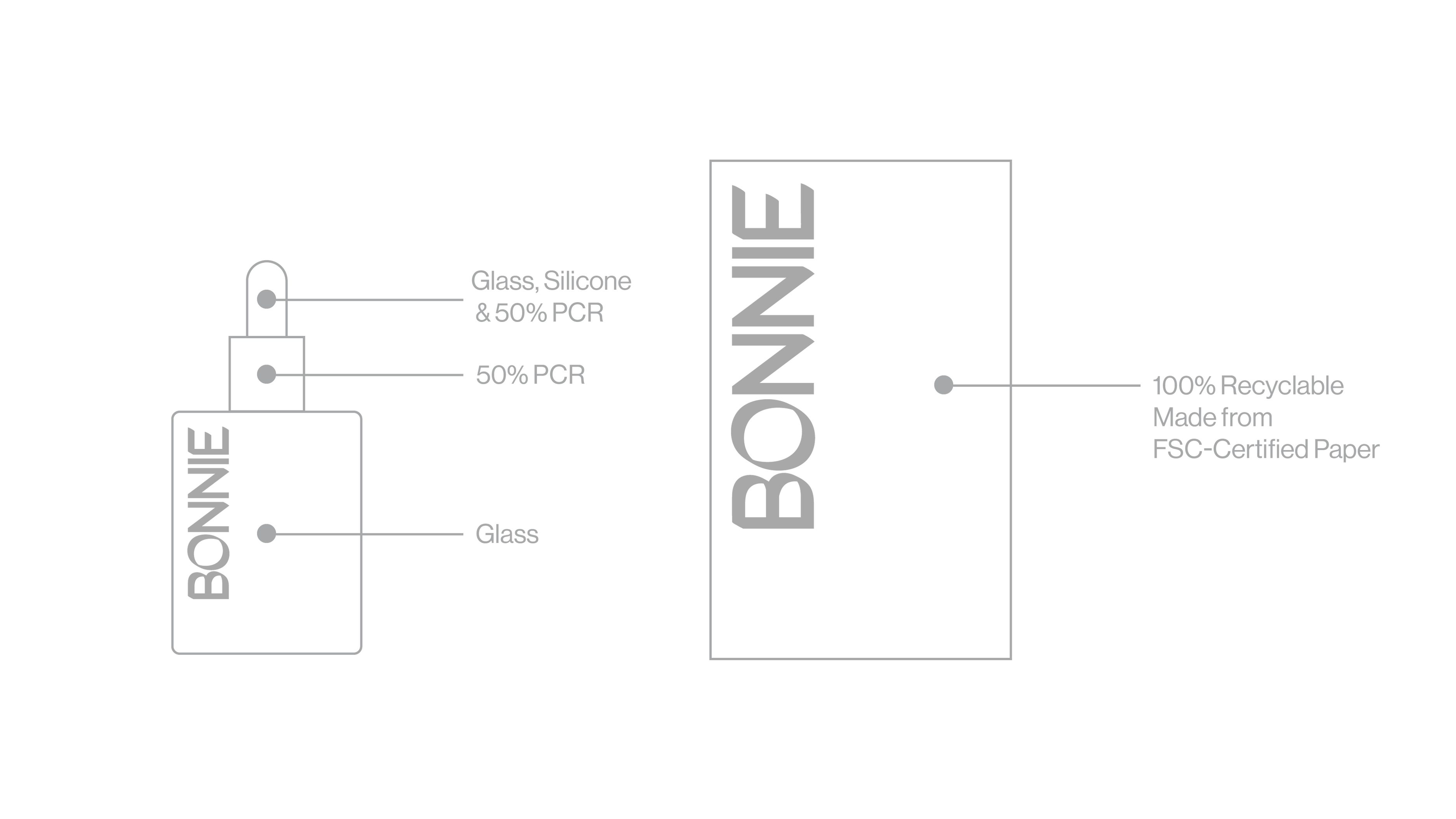 Impact – Bonnie